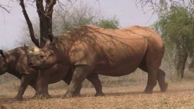 Přežili rok 2000 - ČT edu - Česká televize